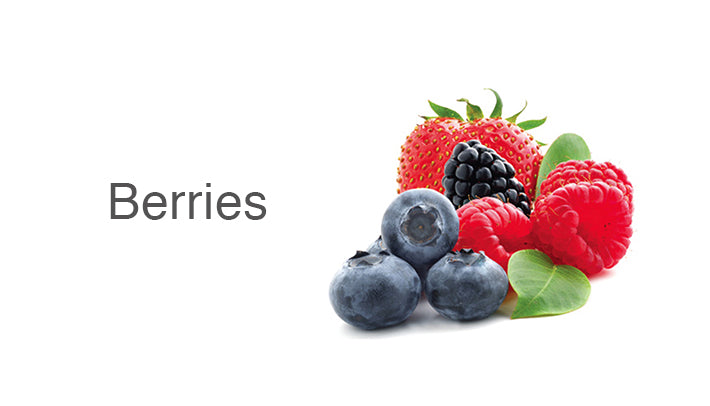 جميع منتجاتنا | Sharbatly.Club