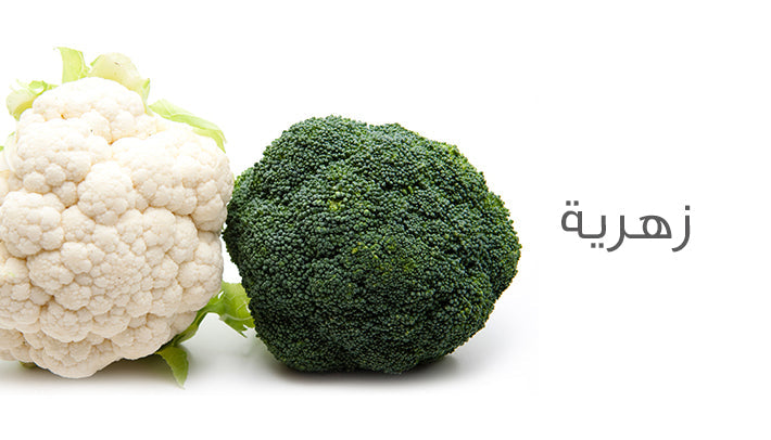 Bundles | Sharbatly.Club