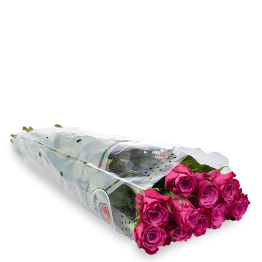ورد | Roses, Deep Purple, 10 Stems | Sharbatly.Club