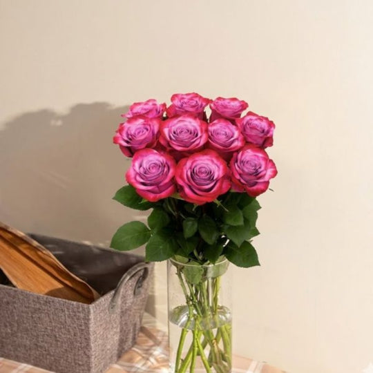 ورد | Roses, Deep Purple, 10 Stems | Sharbatly.Club