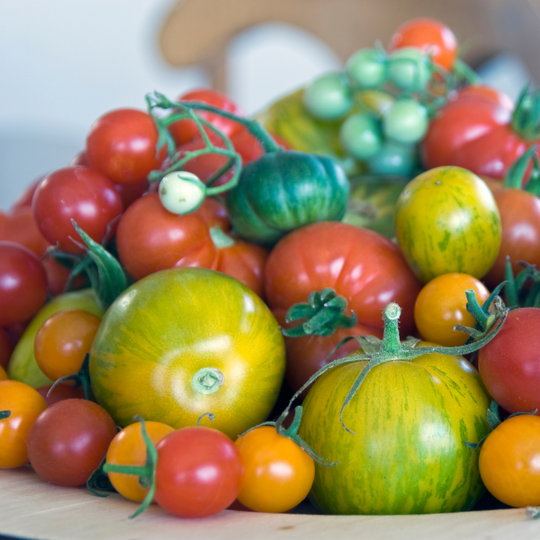 طماطم | Tomatoes, Heirloom mixed, 3.5 Kg Carton – Sharbatly.Club