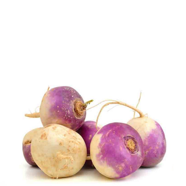 لفت | Turnip, Purple-top, 2 Kg pack | Sharbatly.Club